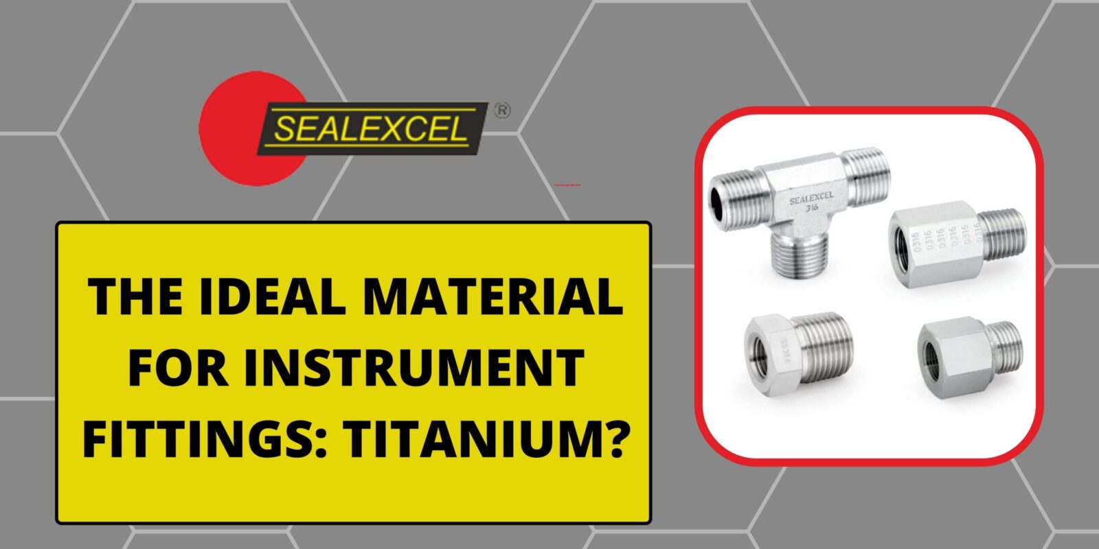 The ideal material for instrument fittings: titanium - SEALEXCEL