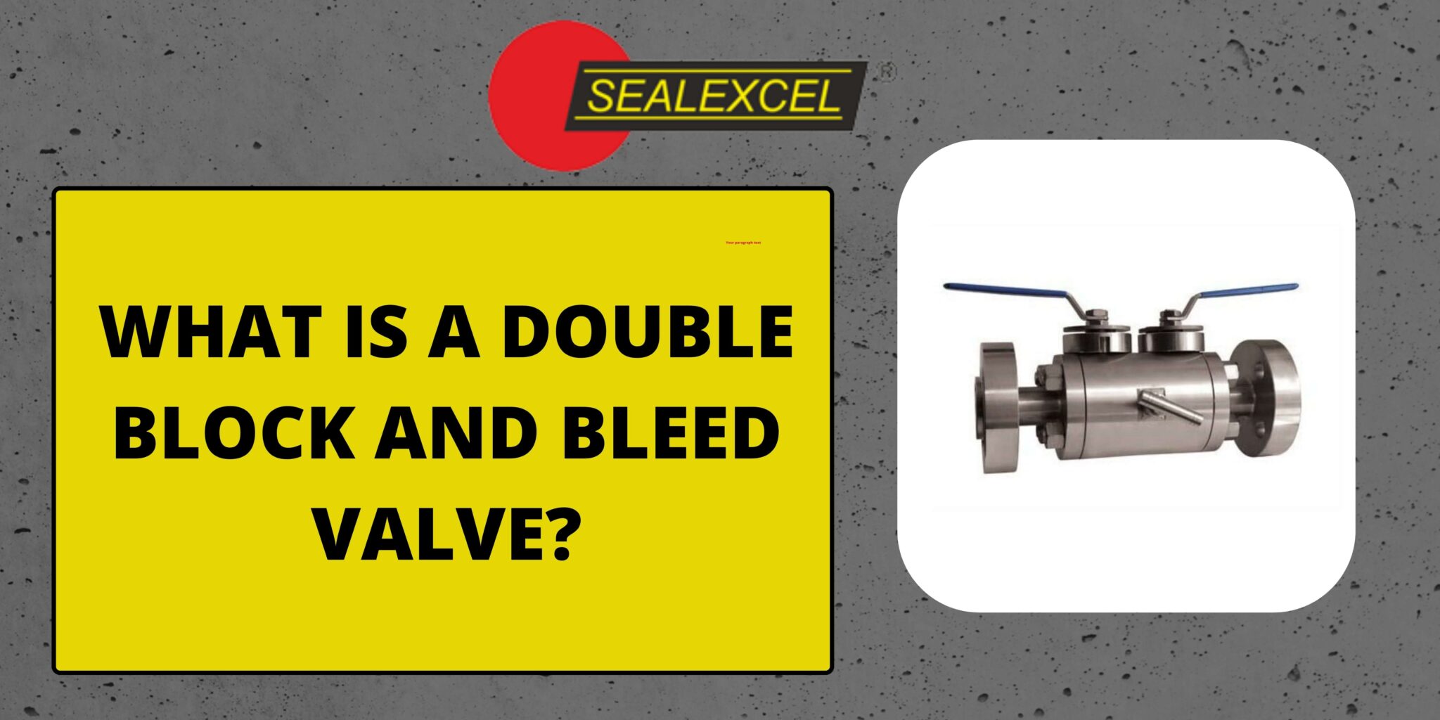 Why Should You Choose A Peek Valve Seat? - SEALEXCEL